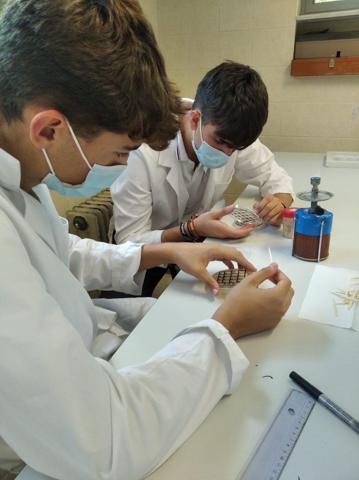 Docencia Microbiología UMHProyecto MicroMundo - Prácticas Microbiología UMH